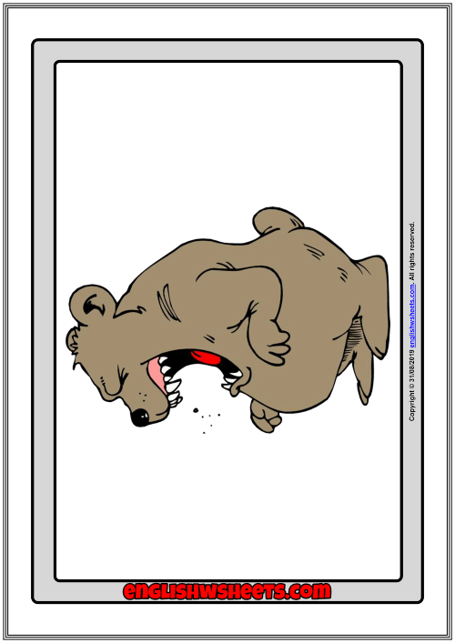 Picture Flashcards Without Words at Elizabeth Wells blog