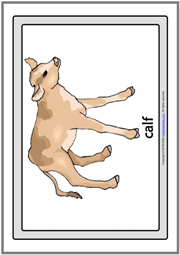 Baby Animals ESL Vocabulary Worksheets