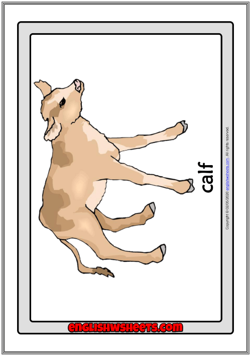 Baby Animals ESL Printable Flashcards With Words for Kids