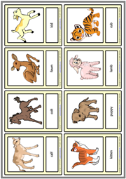 Baby Animals ESL Vocabulary Worksheets