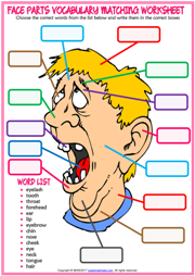 Face Parts ESL Vocabulary Worksheets