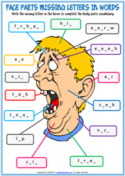 Face Parts ESL Vocabulary Worksheets