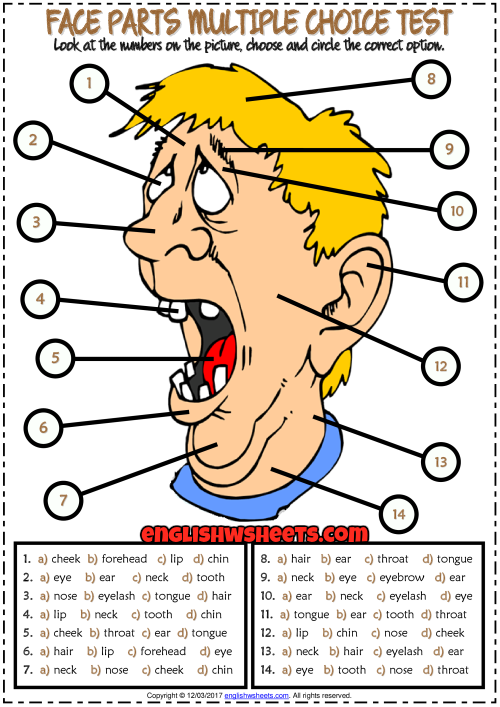 Face Parts ESL Printable Multiple Choice Test For Kids