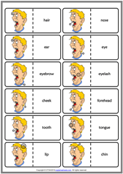 Face Parts ESL Vocabulary Worksheets