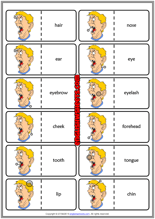 Face Parts ESL Printable Dominoes Game For Kids