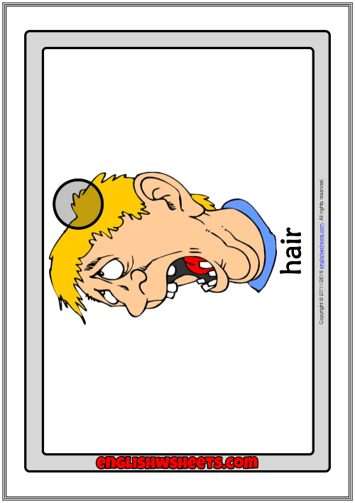 Face Parts ESL Printable Flashcards With Words for Kids