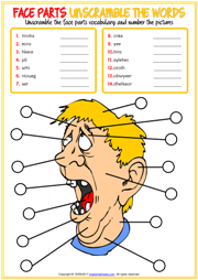 Face Parts ESL Vocabulary Worksheets
