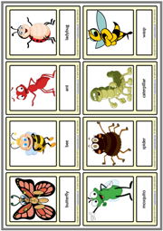 Insects ESL Vocabulary Worksheets