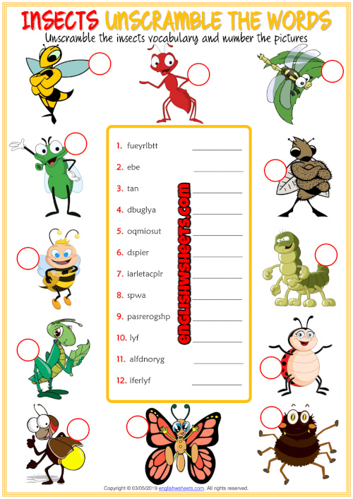 Insects ESL Unscramble the Words Worksheet For Kids
