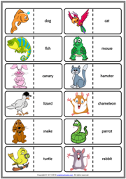 Pets ESL Vocabulary Worksheets