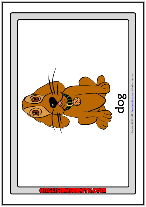 Pets ESL Printable Flashcards With Words for Kids