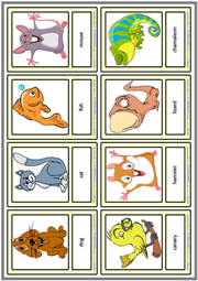 Pets ESL Vocabulary Worksheets