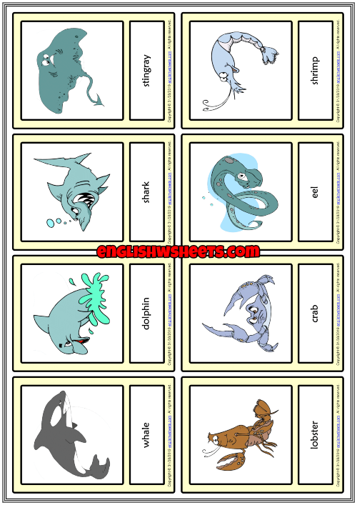 Sea Animals ESL Printable Vocabulary Learning Cards